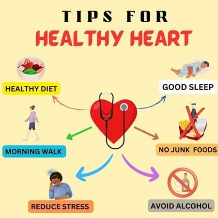 The Secrets of Heart Health: Insights from a Top Cardiovascular Doctor ...