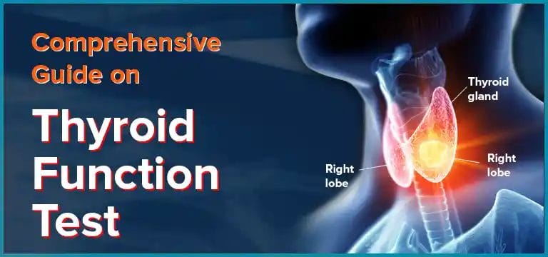 Everything You Need to Know About Laboratory Tests for Better Health ...